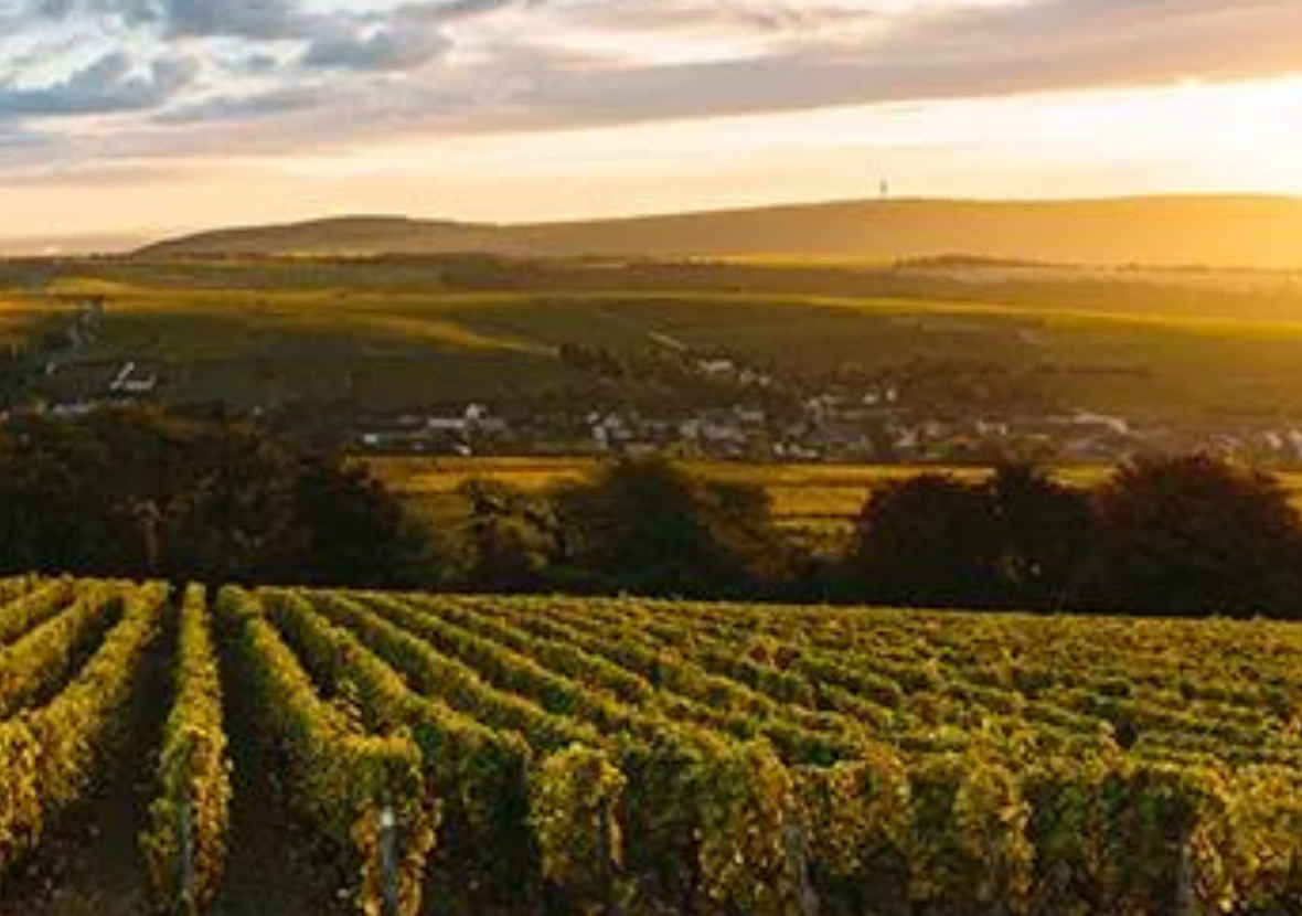 Domaine Andre Perret | Radford Dale Imports
